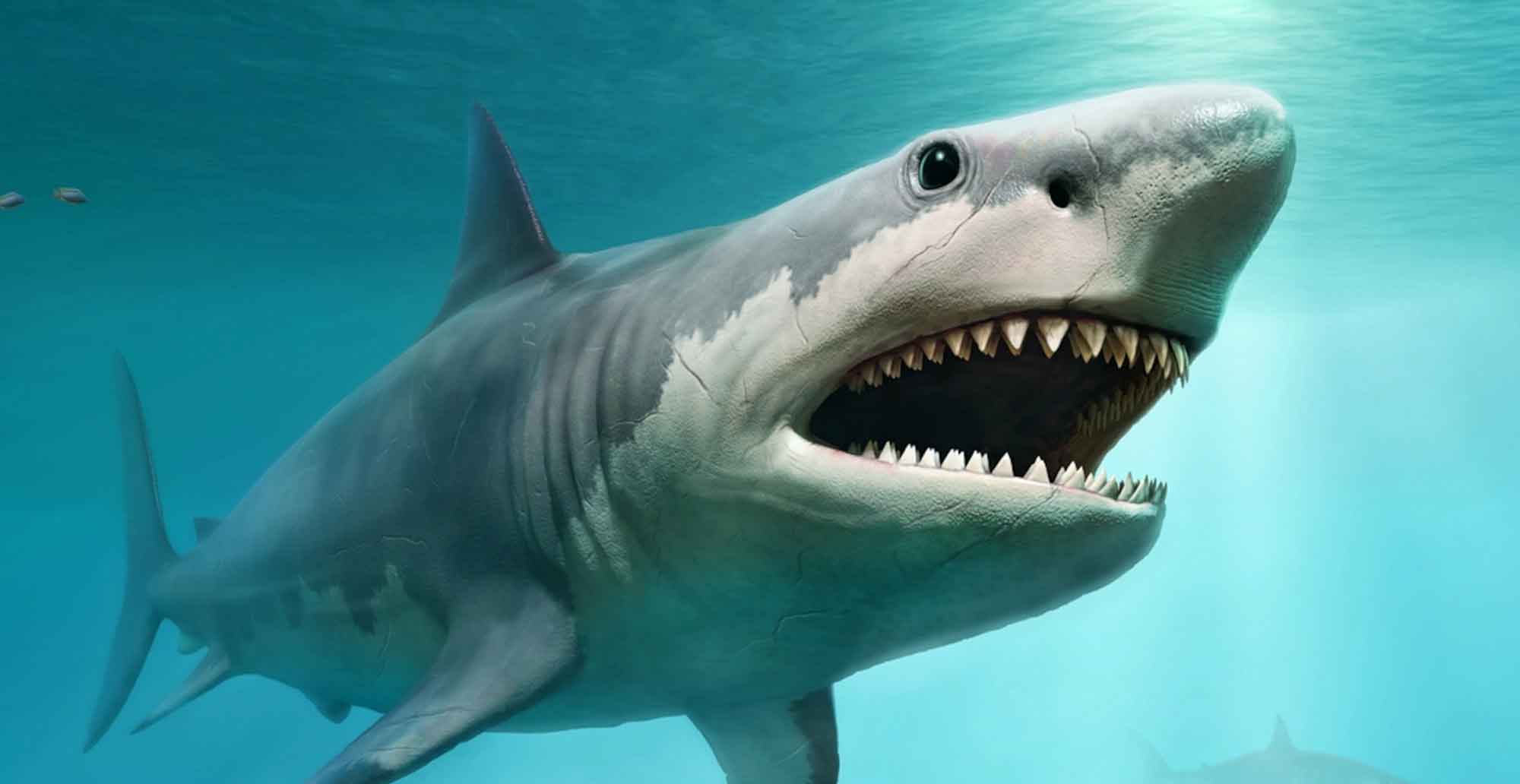 Timiṅgila - Myth or Fact? - Rupanuga Bhajan Ashram